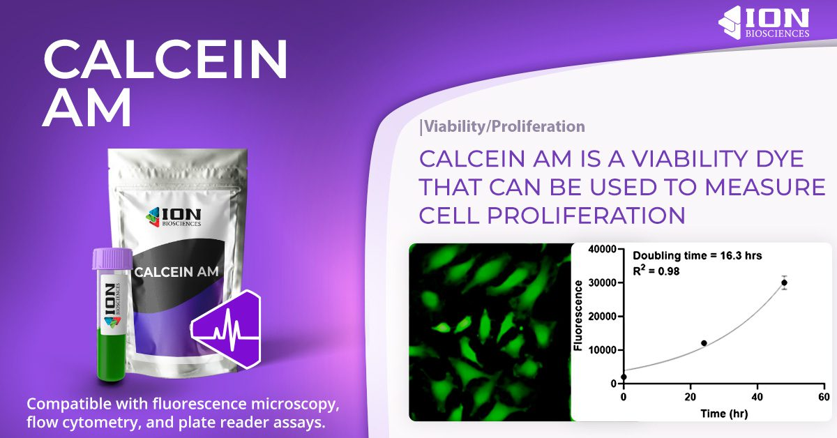 Indicador Calcein AM - CIDSA