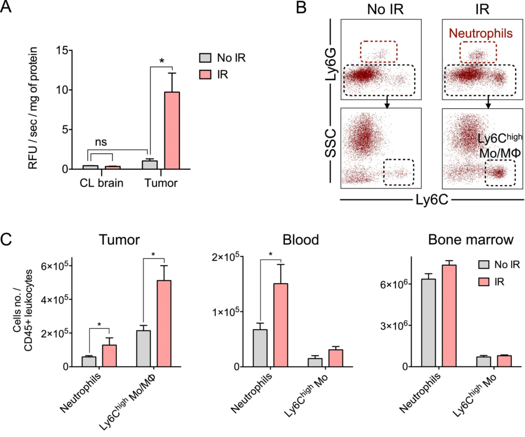 Amplite® ADHP [10-Acetyl-3,7-dihydroxyphenoxazine] - CIDSA