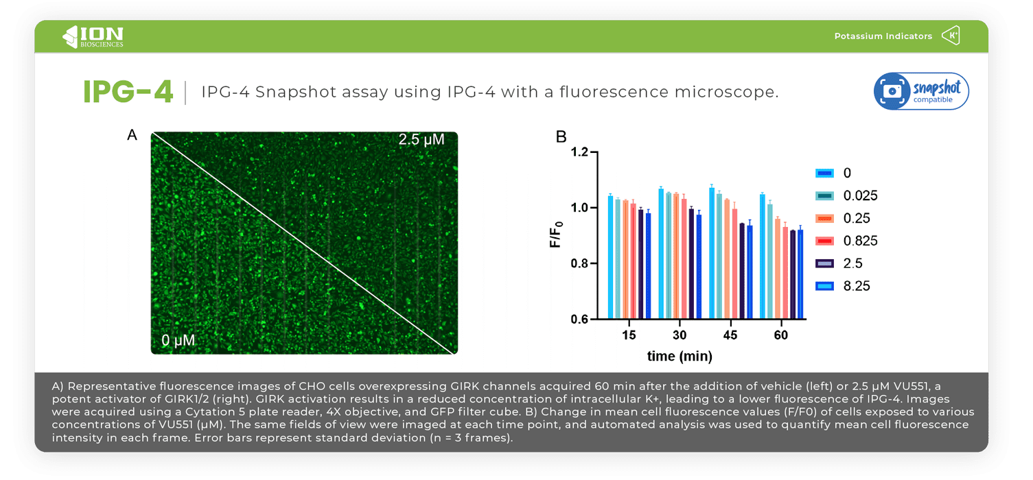 Indicador IPG-4 AM - CIDSA