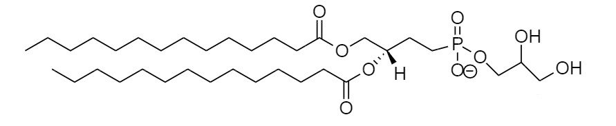 ¿Qué son los Nanodiscos? - CIDSA